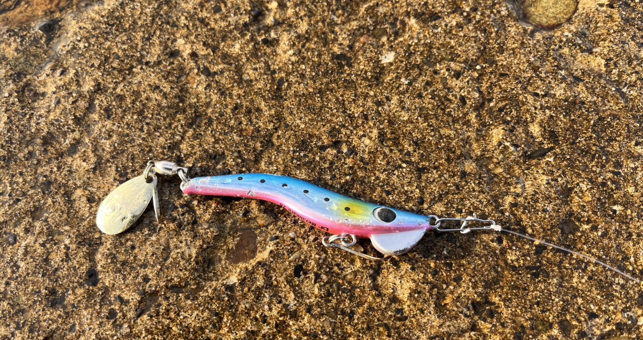 【サゴシ爆釣】2024新潟東港ハッピーフィッシング初参戦！サゴシ好調です！ショアジギング24.3.9 - LURE LABO（ルアらぼ）