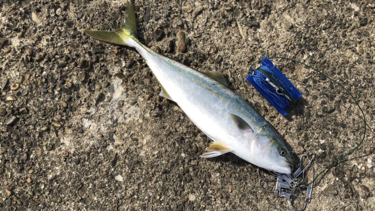 シマノ「ピットブル8」のインプレ。コスパと耐久性のバランスが良い信頼のPEライン！ - LURE LABO（ルアらぼ）