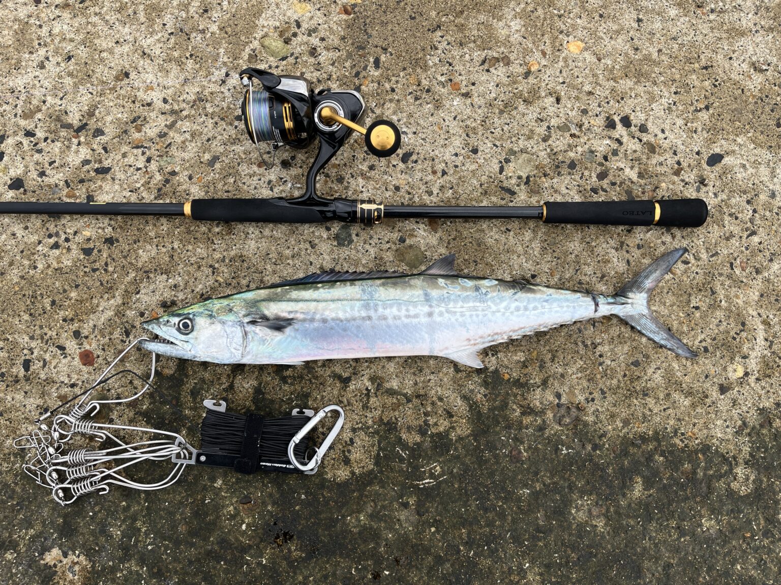 【最強】ショアジギング用PEラインおすすめ8選！青物狙いに最適なラインを厳選！ - LURE LABO（ルアらぼ）