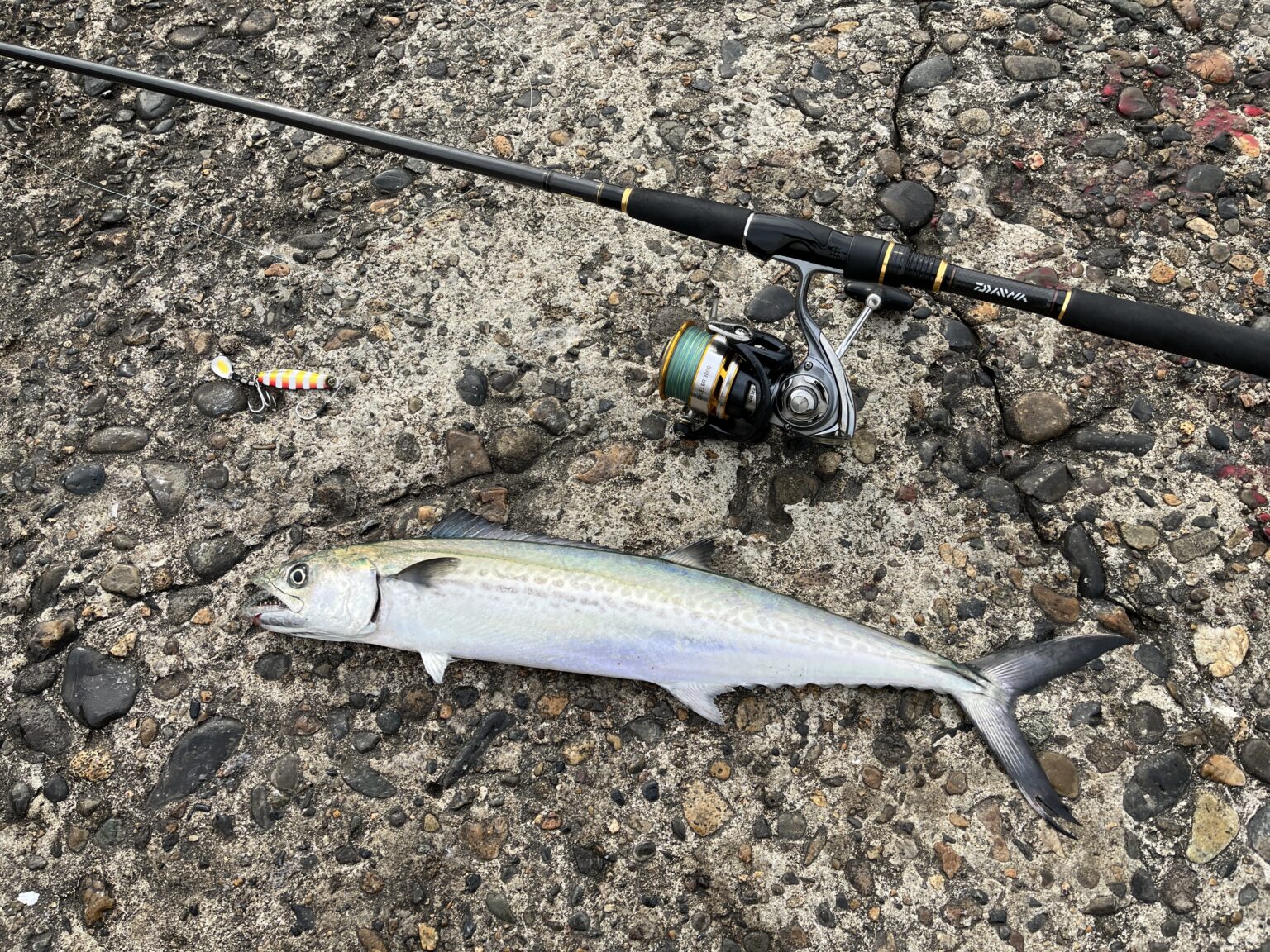 よつあみ「Xブレイド アップグレードX8」のインプレ。酷使にも耐える高強度PEライン！ - LURE LABO（ルアらぼ）