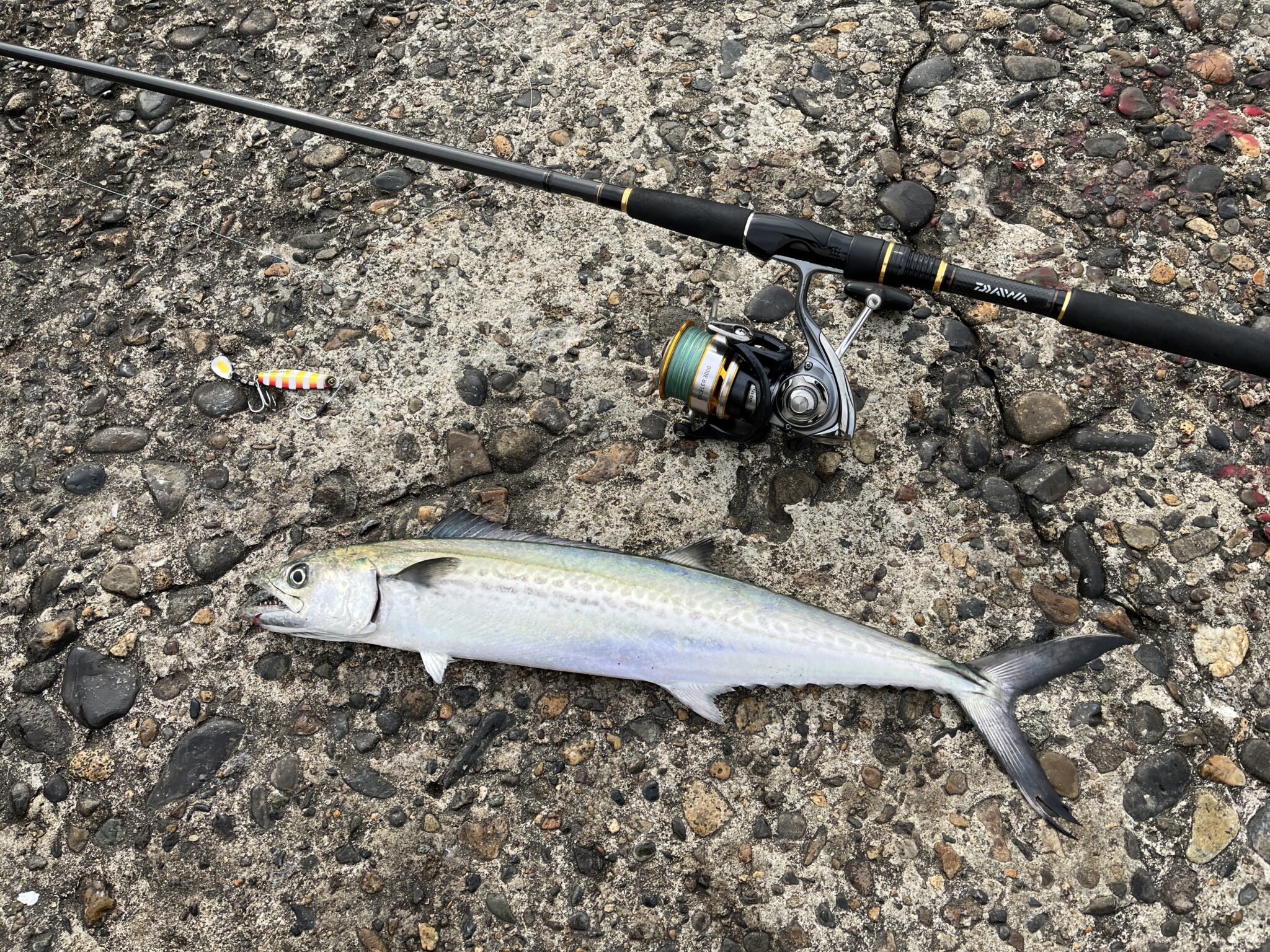 よつあみ「Xブレイド アップグレードX8」のインプレ。酷使にも耐える高強度PEライン！ - LURE LABO（ルアらぼ）