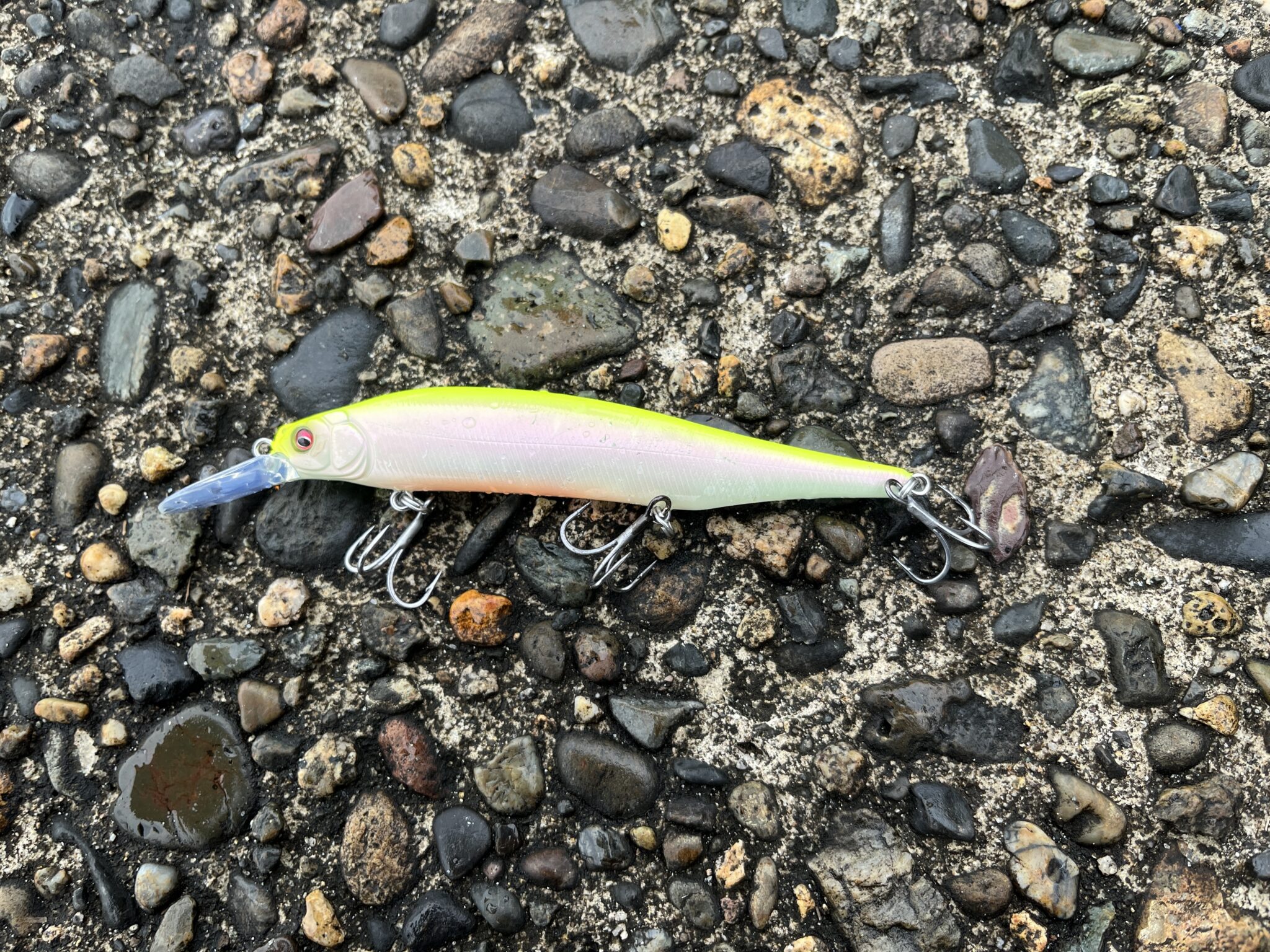 【新潟東港】2025年春開幕！サワラ釣れてます！ショアジギング25.4.1 - LURE LABO（ルアらぼ）