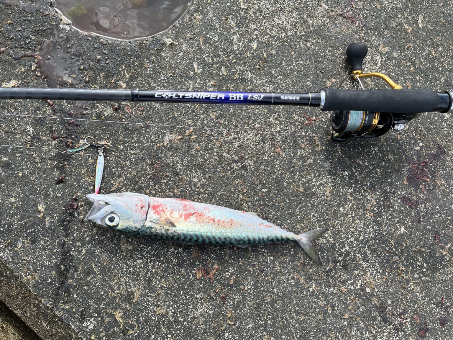 【軽量】シマノ「コルトスナイパーBB LSJ」はライトショアジギングにぴったり！他モデルとの違いも解説！ - LURE LABO（ルアらぼ）
