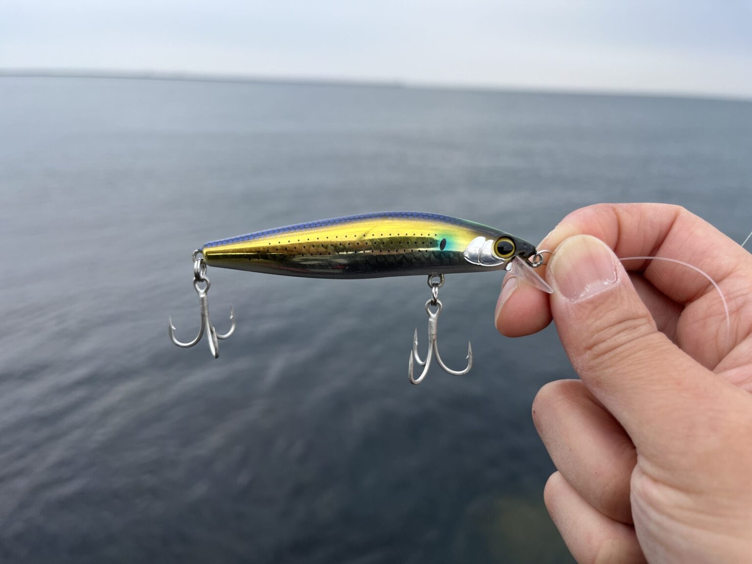 【極小】「サイレントアサシン80」のインプレ。マイクロベイトにはこれ一択！ - LURE LABO（ルアらぼ）