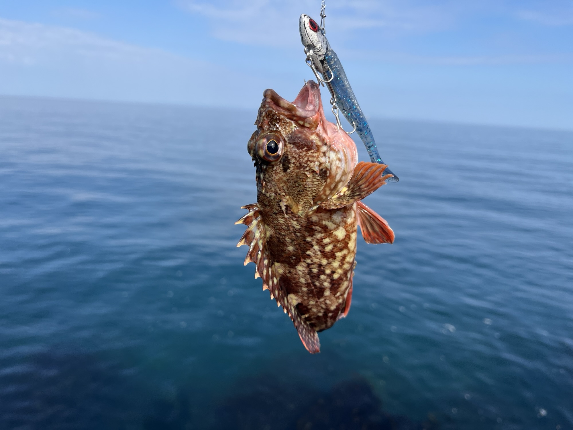 コアマン「VJ」はシーバス・青物・ヒラメ全部OK！おすすめカラーや使い方を紹介 - LURE LABO（ルアらぼ）